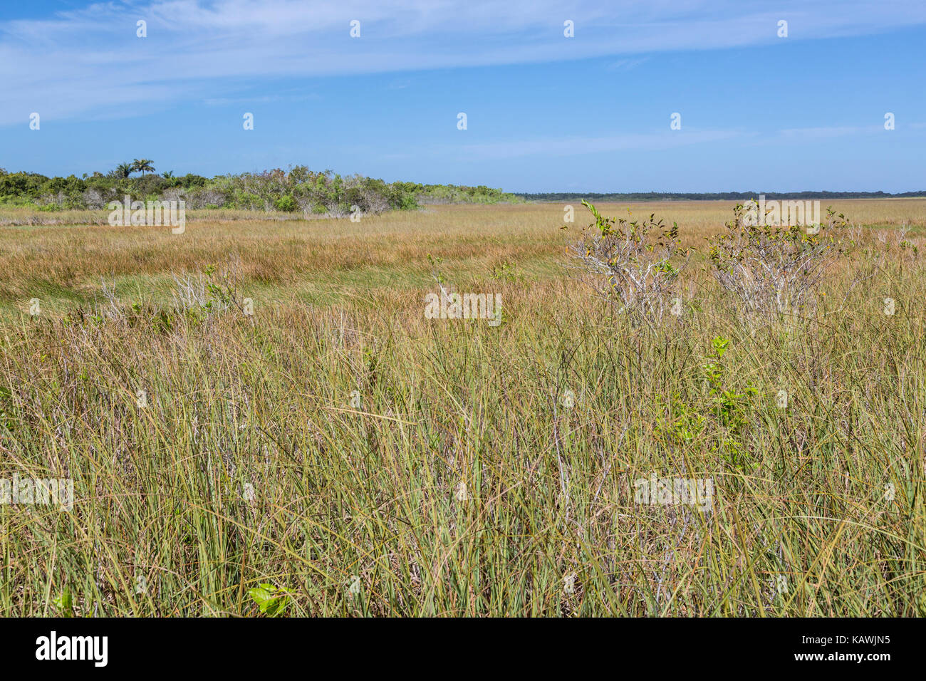 The slough hi-res stock photography and images - Alamy