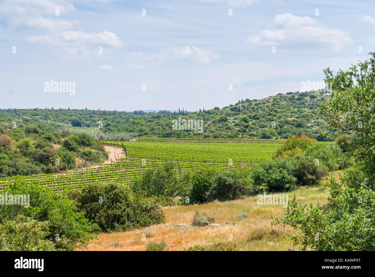 Judea hills hi-res stock photography and images - Alamy