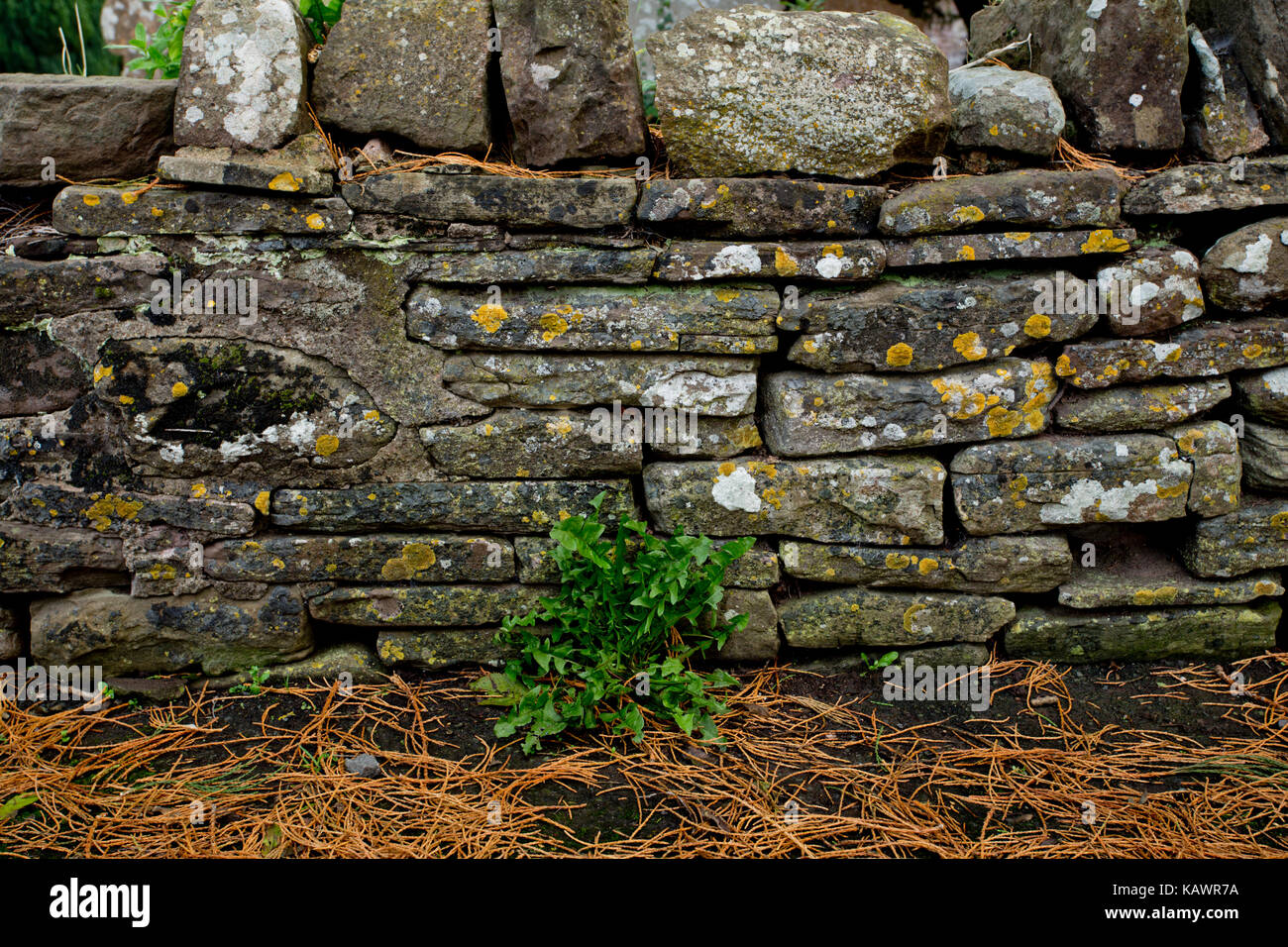 Golden rock wall hi-res stock photography and images - Alamy