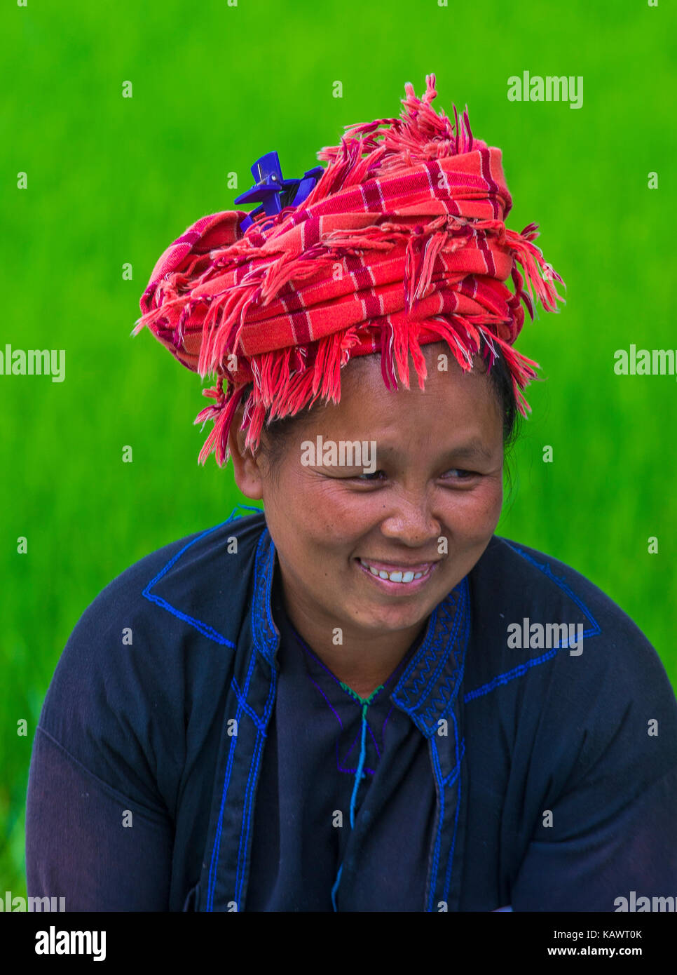Portrait of Burmese farmer working at a rice field in Shan state ...