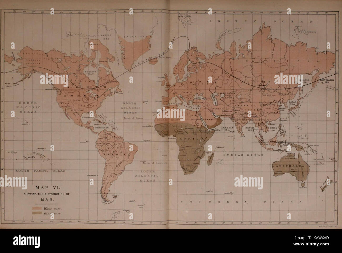 A map or chart depicting the geographical distribution of mammals ...
