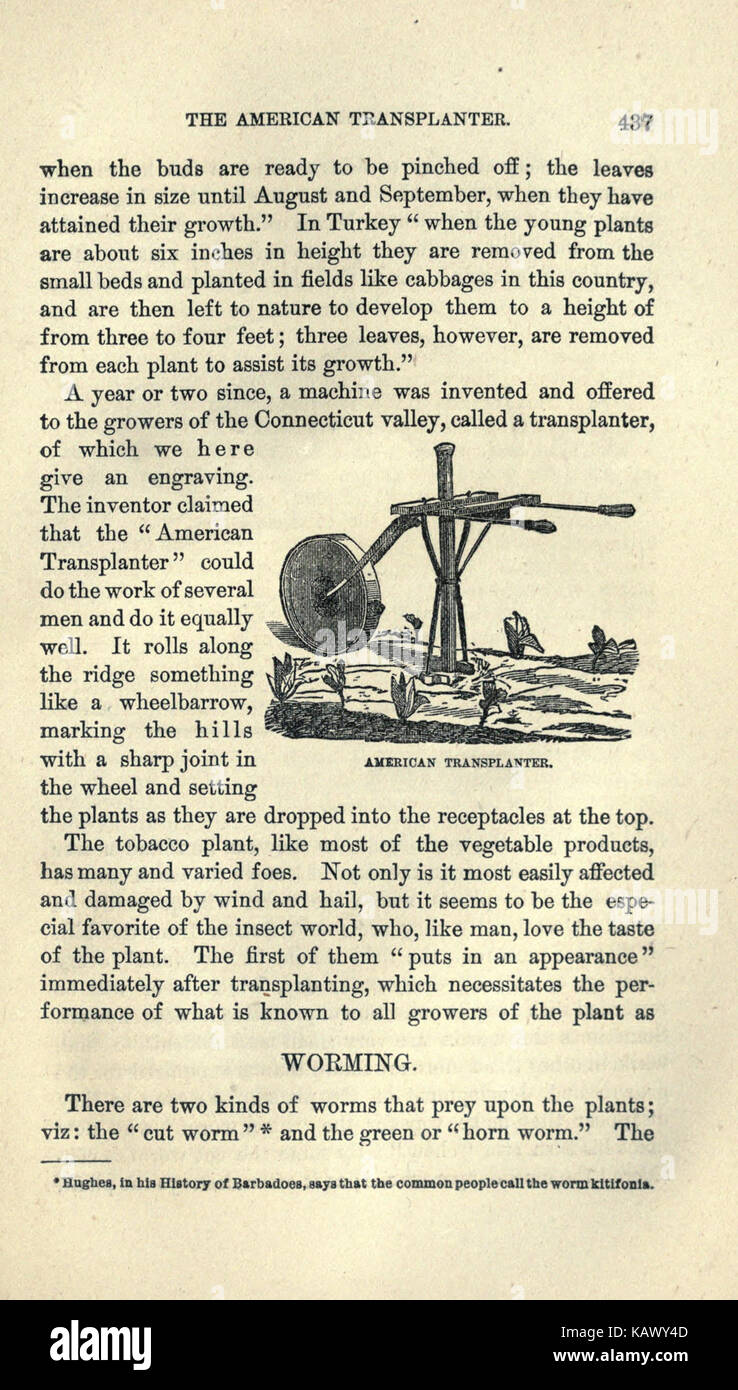 Page 437 hi-res stock photography and images - Alamy