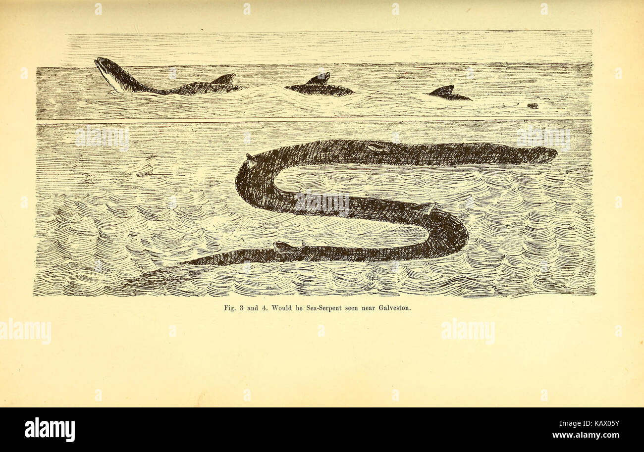 This illustration from a 19th-century natural history work depicts the ...