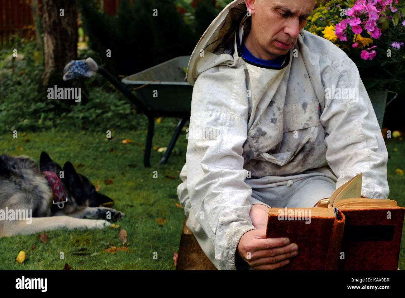 A man in beekeeper clothes reading a book, while his dog relaxing on ...