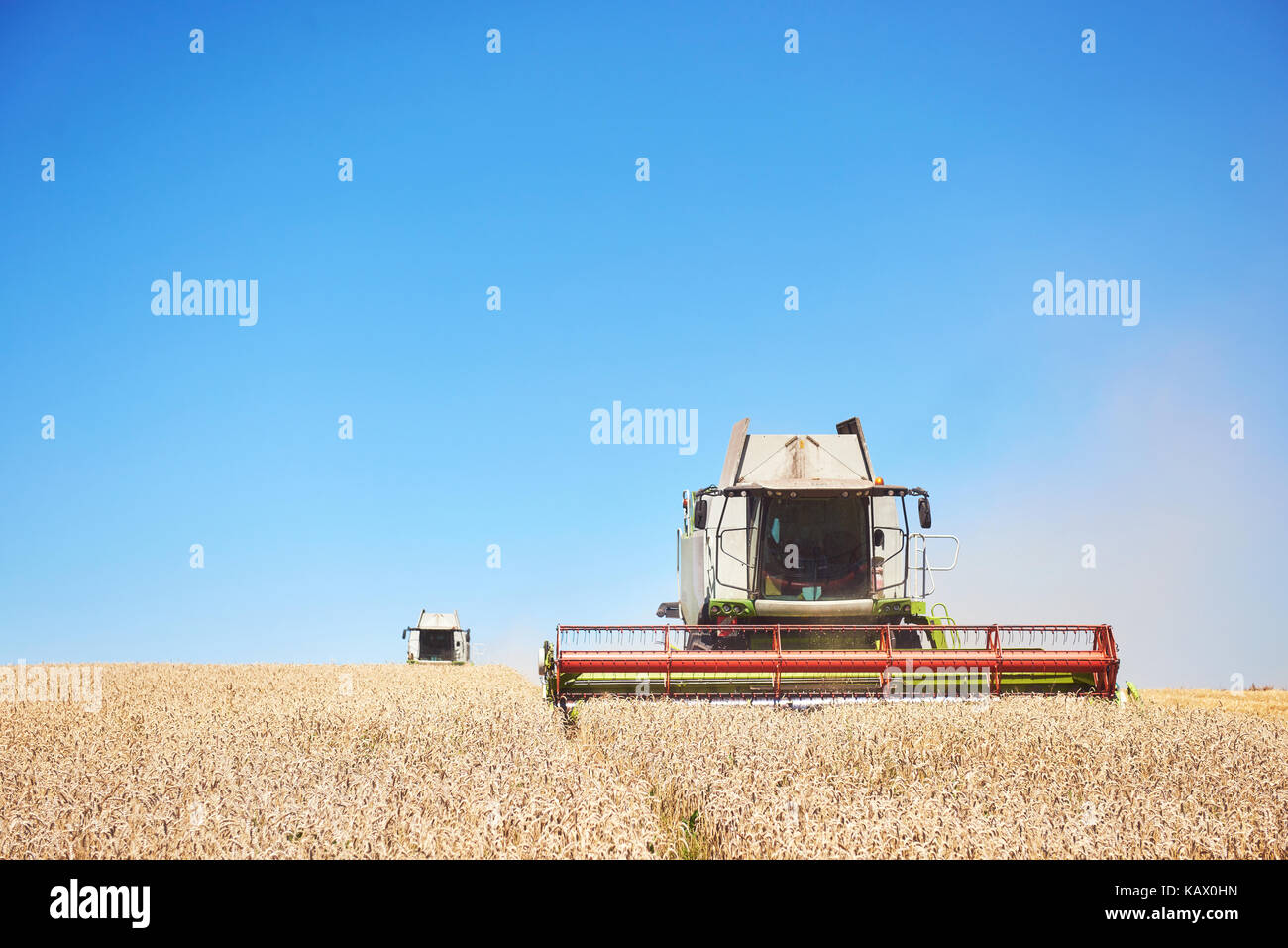 A few combines cutting a swath through the middle of a wheat field ...