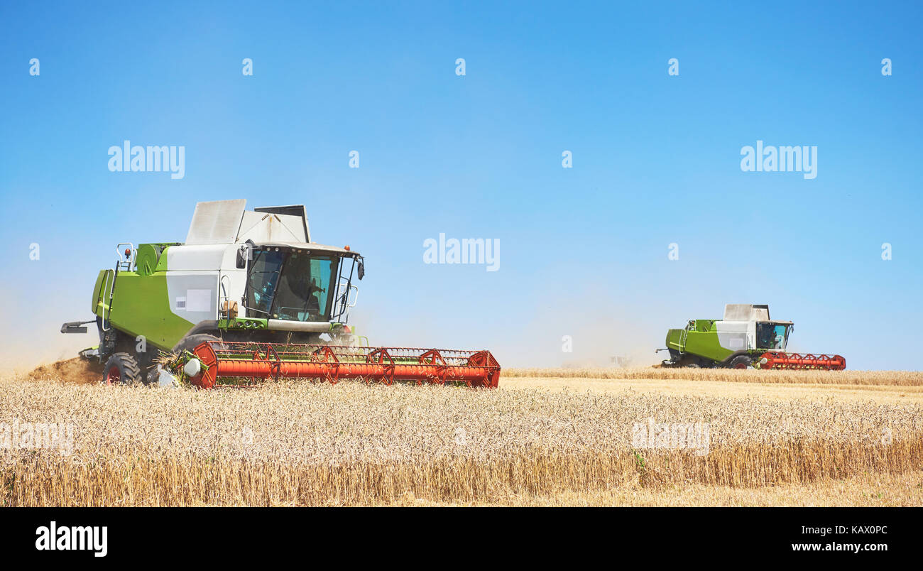 Combines at work during wheat harvest hi-res stock photography and ...