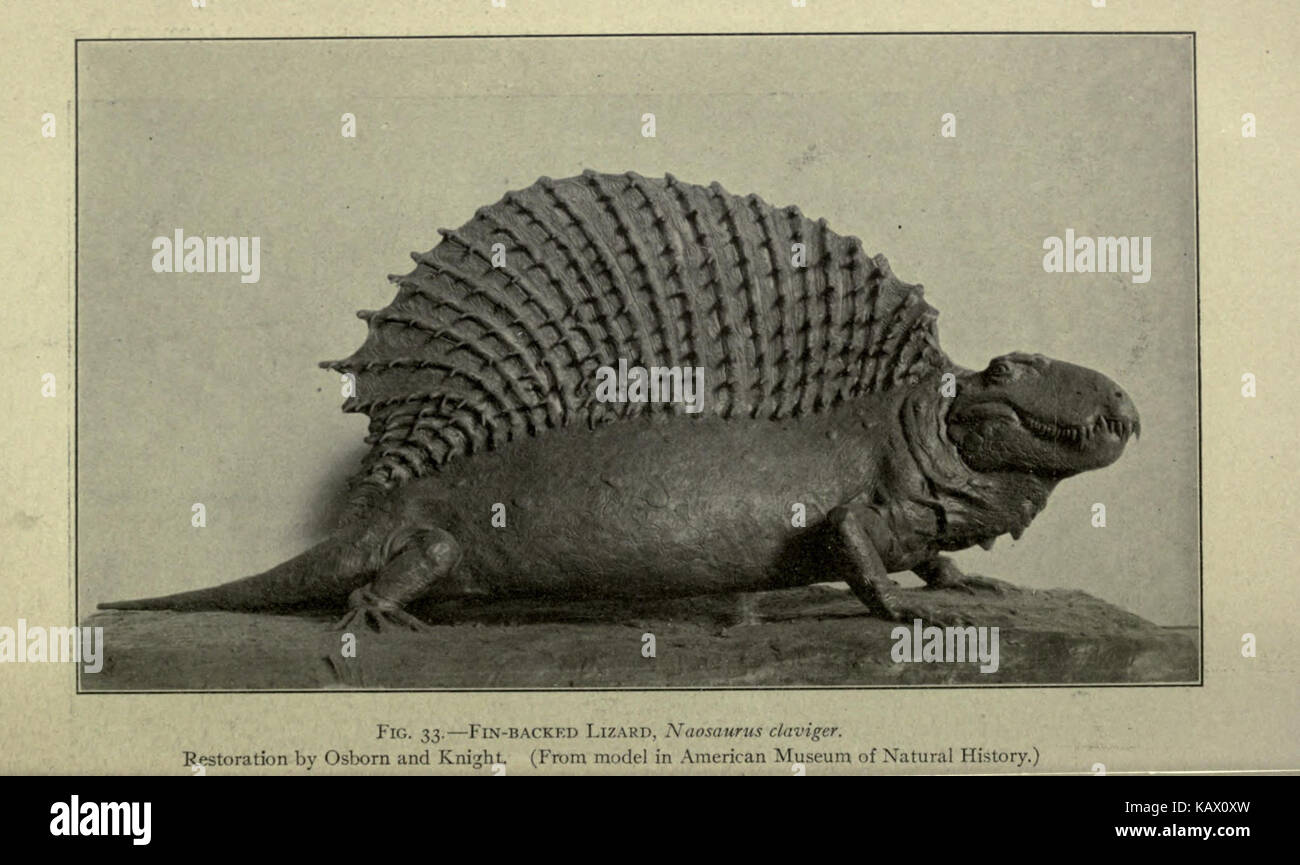 Fossil hunter hi-res stock photography and images - Alamy