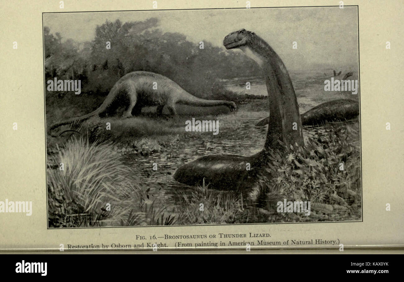 Fossil hunting expedition hi-res stock photography and images - Alamy