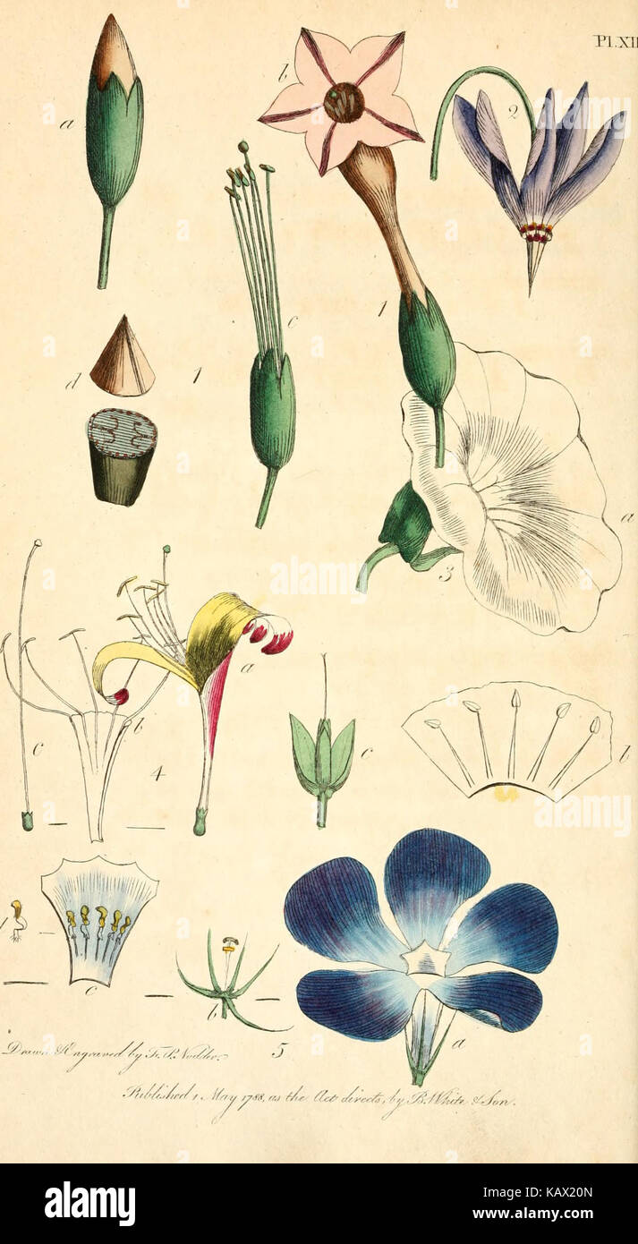 Thirty eight plates, with explanations (Pl. XII) (6127245596 Stock ...