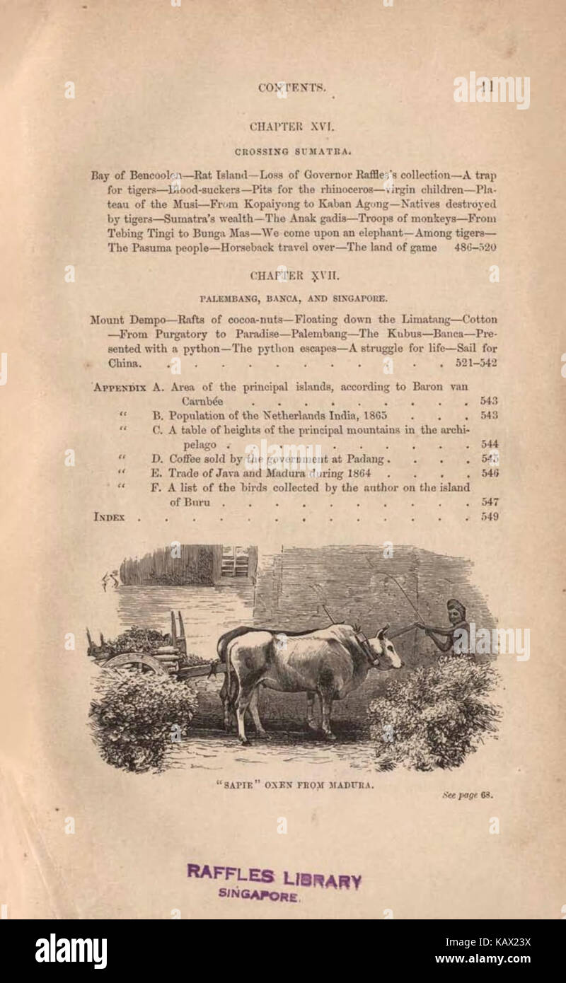 Travels in the East Indian Archipelago BHL46295200 Stock Photo - Alamy