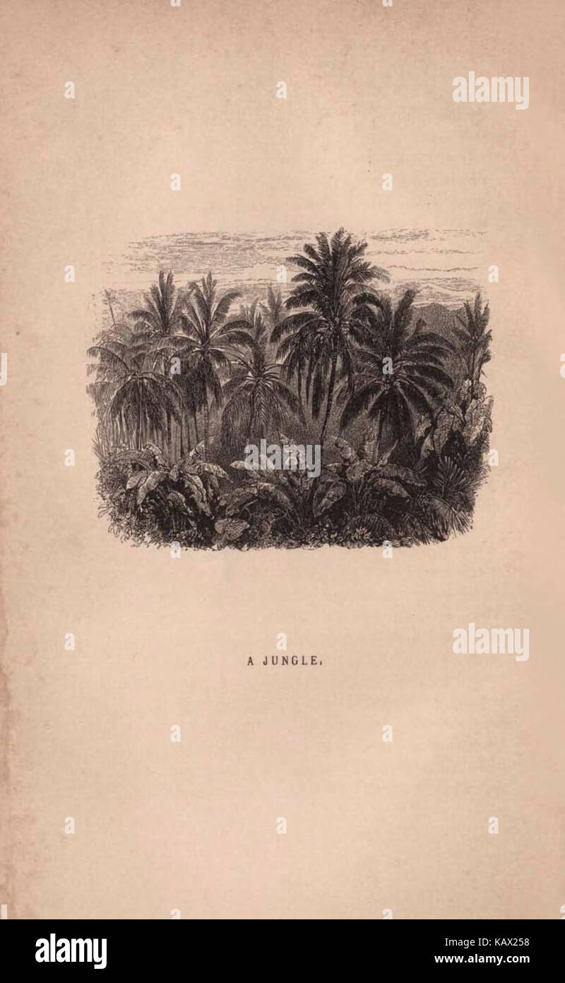Travels in the East Indian Archipelago BHL46295430 Stock Photo - Alamy