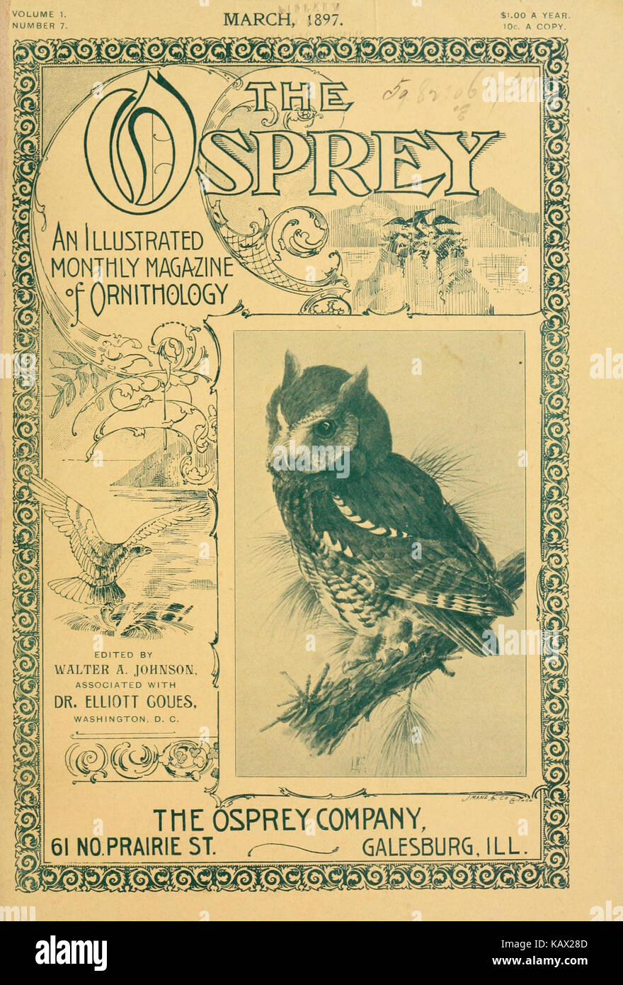 The Osprey BHL8767223 Stock Photo - Alamy