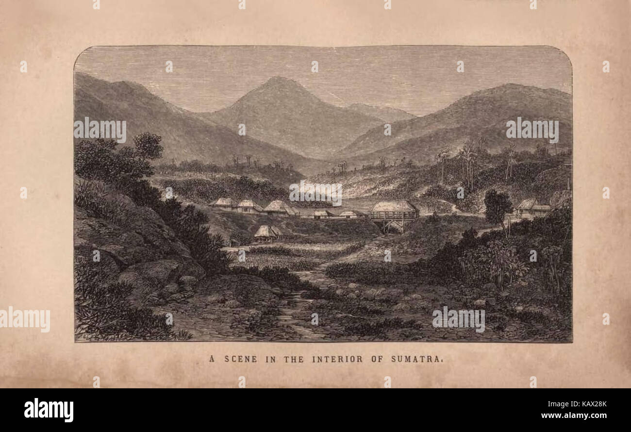 Travels in the East Indian Archipelago BHL46295793 Stock Photo - Alamy