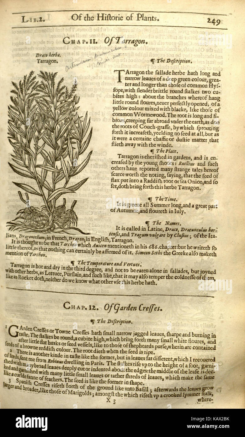 The herball, or, Generall historie of plantes (Page 249) BHL8437053 ...