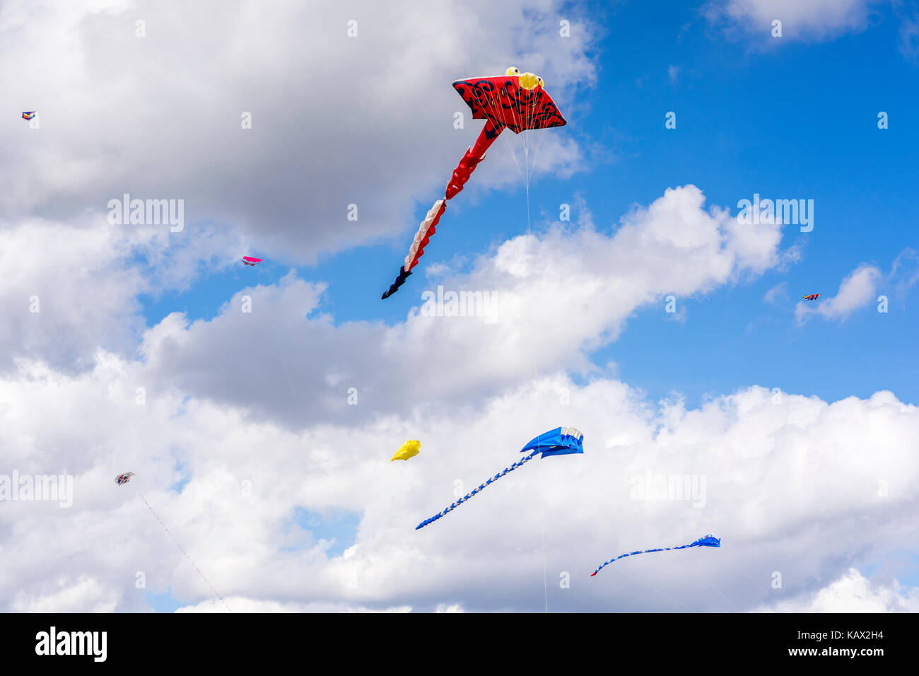 Kite festival at Tempelhofer Feld in Berlin, Germany 2017 Stock Photo ...