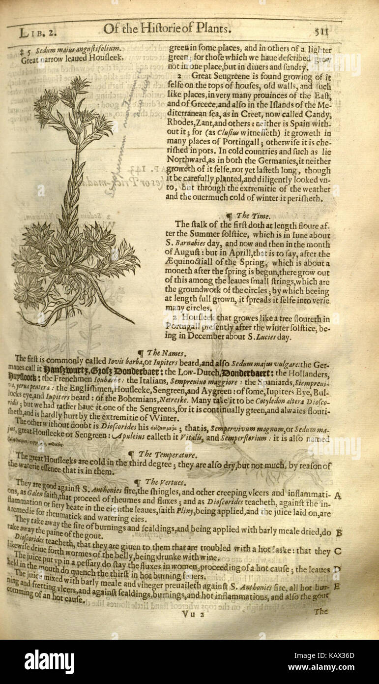 'The Herball, or Generall Historie of Plantes' is an important ...