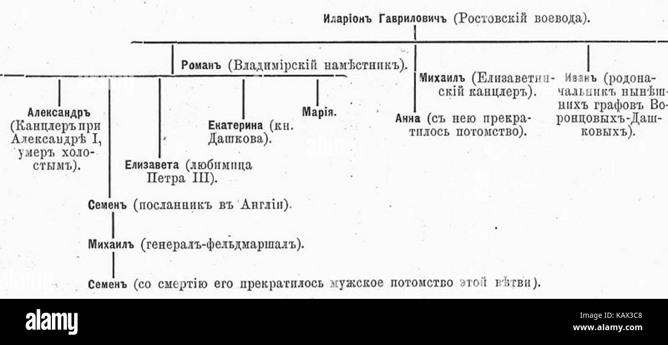 Rodoslovnaya hi-res stock photography and images - Alamy