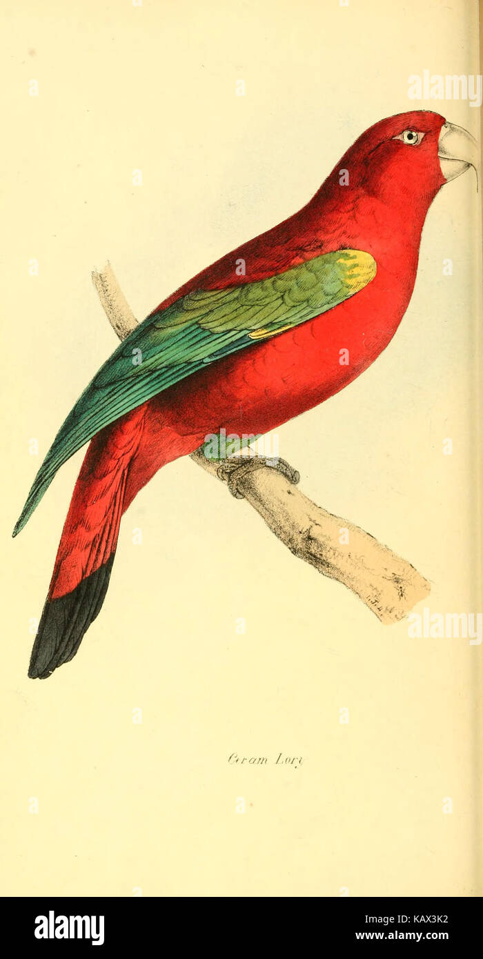 Zoological illustrations, or, Original figures and descriptions of new ...