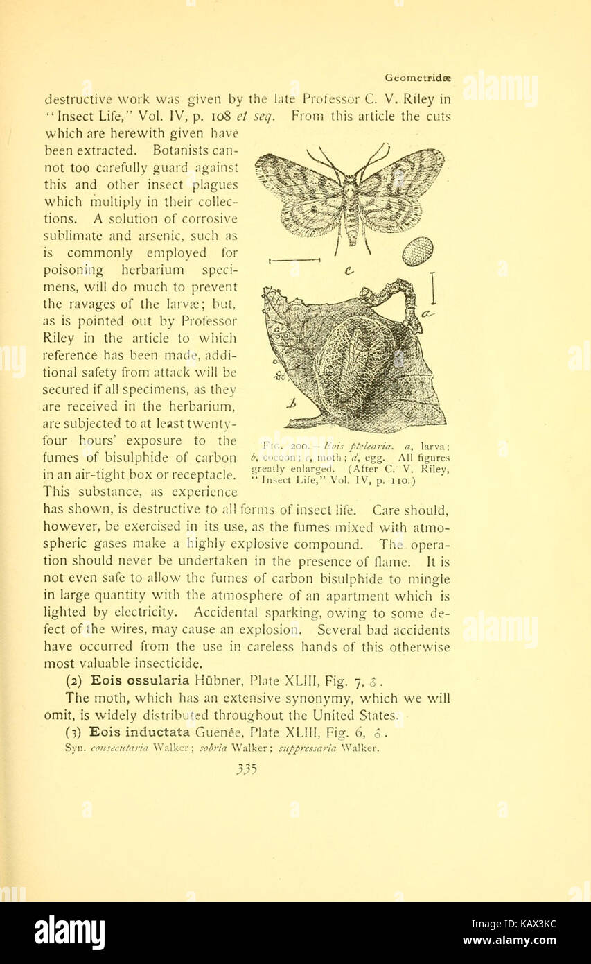 A page from 'The Moth Book,' an illustrated guide to moths, providing ...