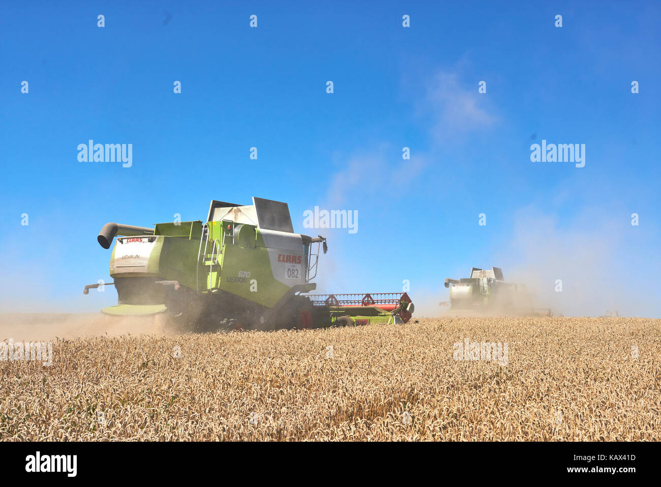 Combines at work during wheat harvest hi-res stock photography and ...