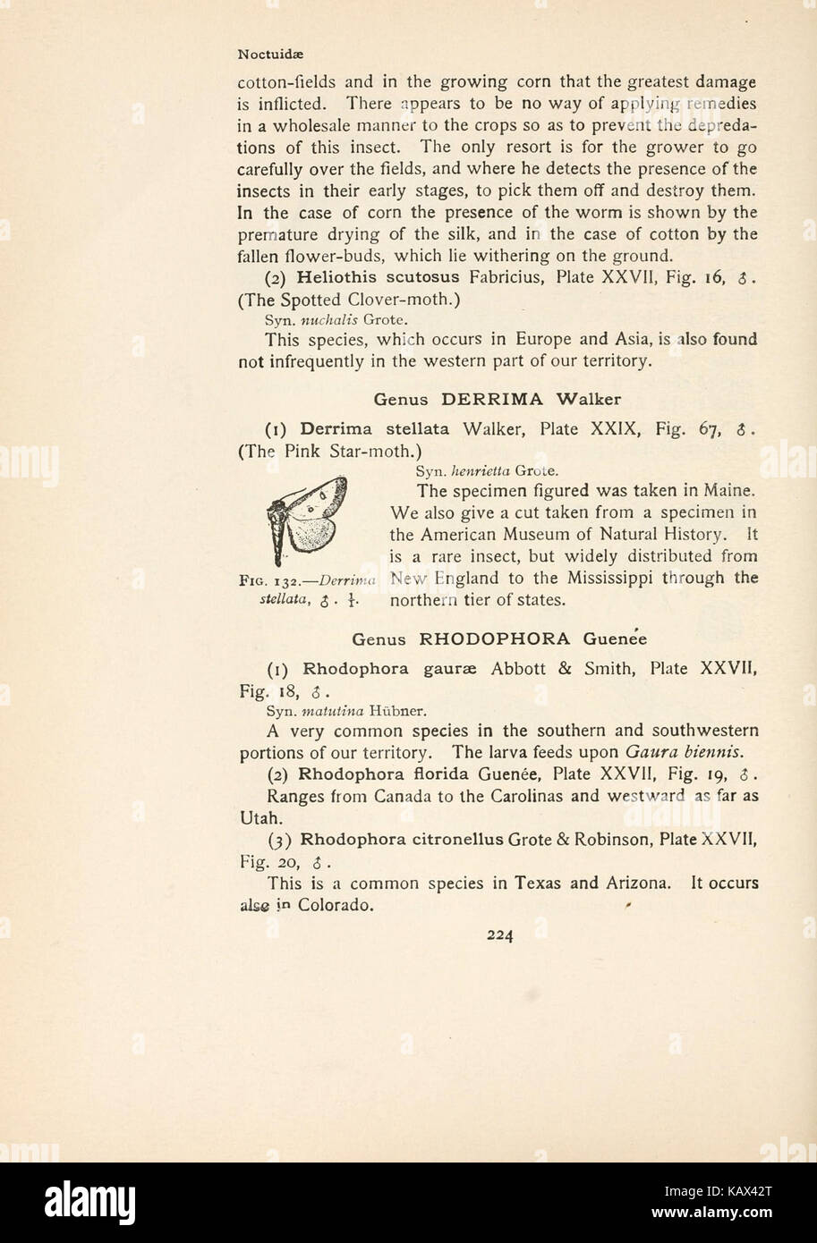 The moth book (Page 224) BHL17026543 Stock Photo - Alamy