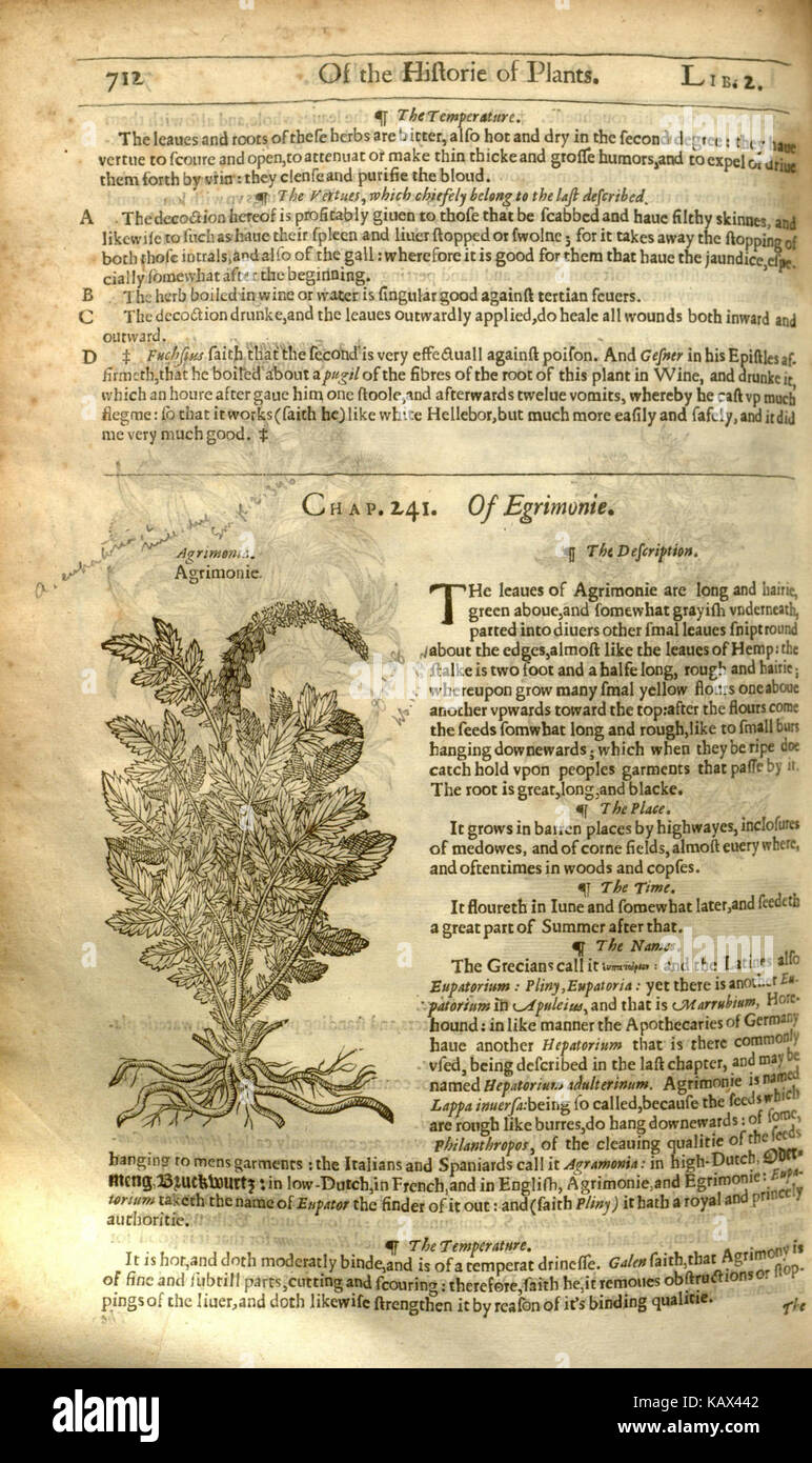 Understanding botanical history hi-res stock photography and images - Alamy