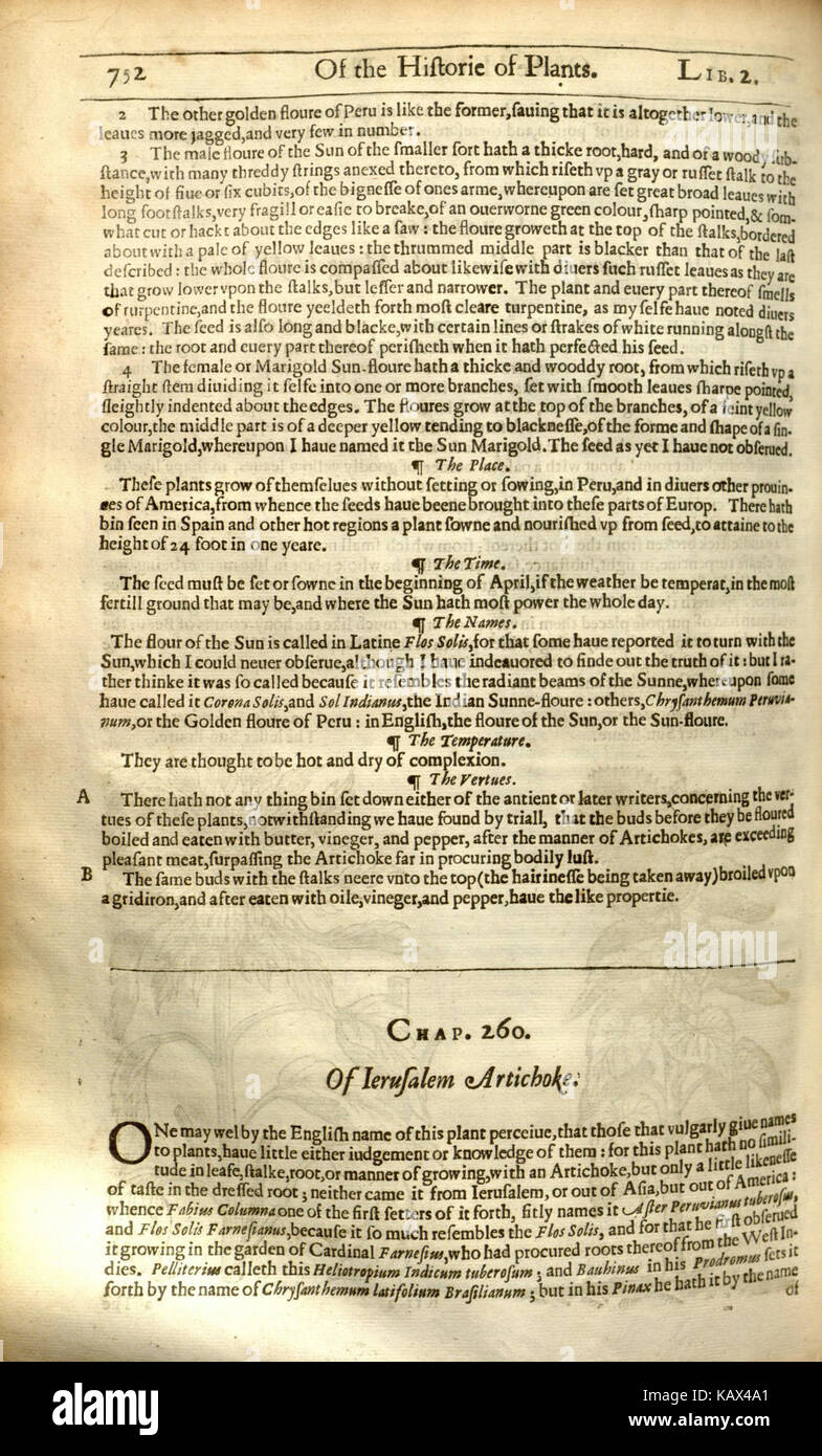 This historical page from 'The Herball' by John Gerard details plant ...