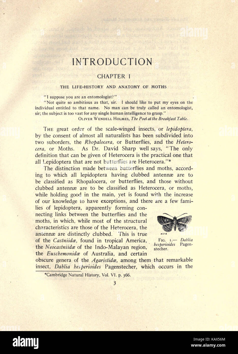 The moth book (Page 3, Fig. 1) BHL21852881 Stock Photo - Alamy