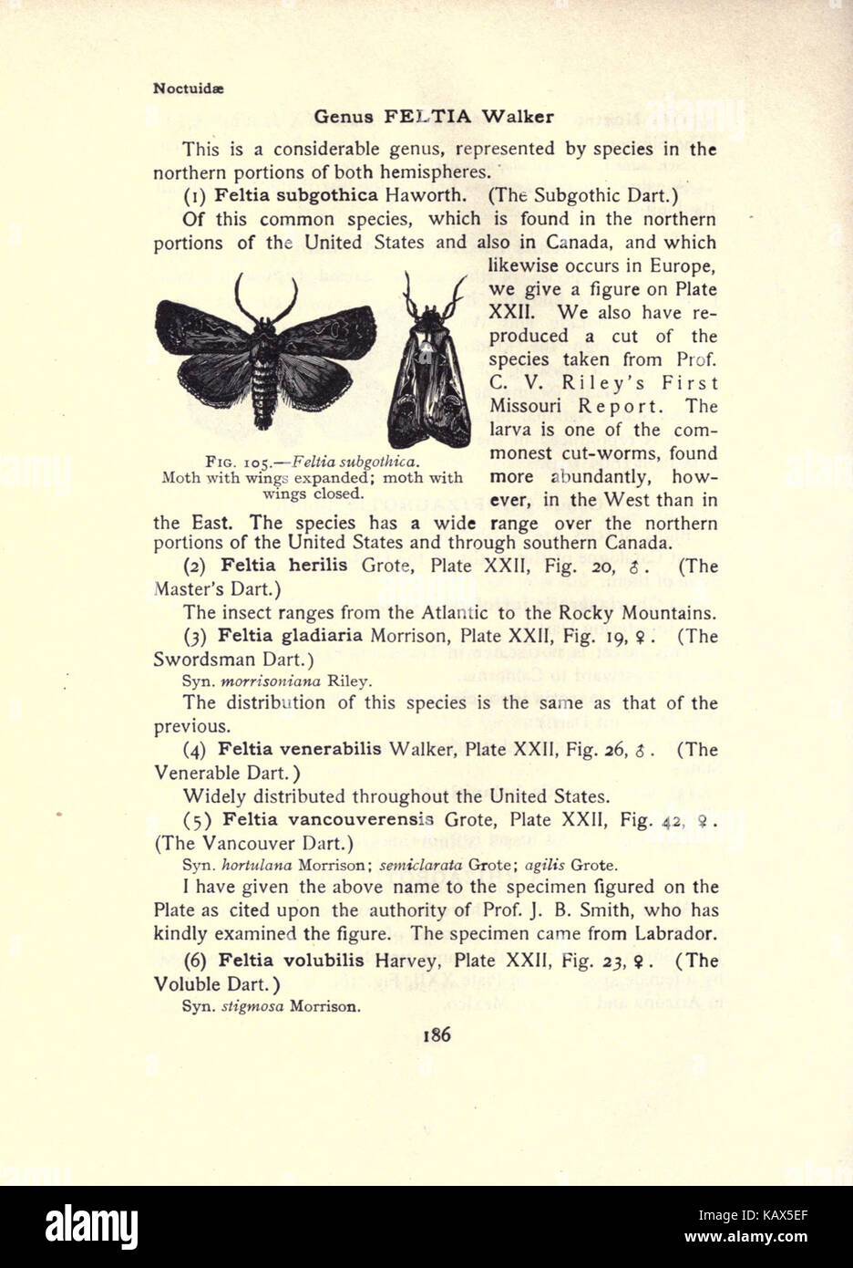 Moth chart hi-res stock photography and images - Alamy