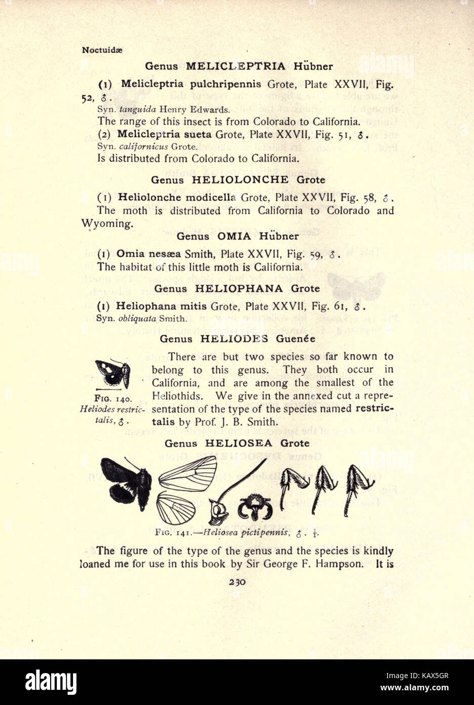 *The Moth Book* provides detailed illustrations and descriptions of ...