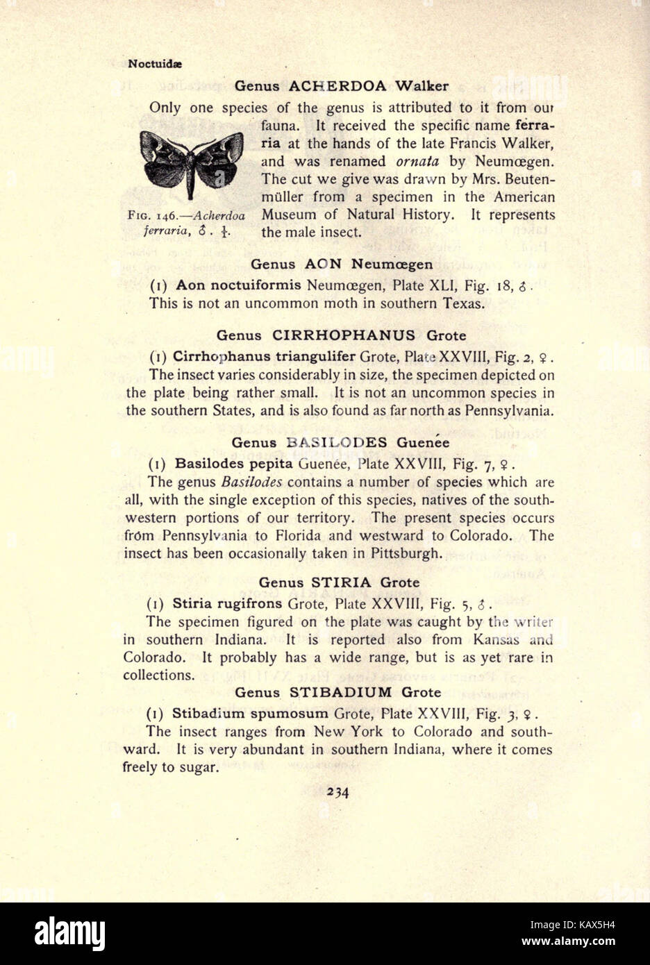 The Moth Book, featuring page 234 and figure 146, is a part of an ...