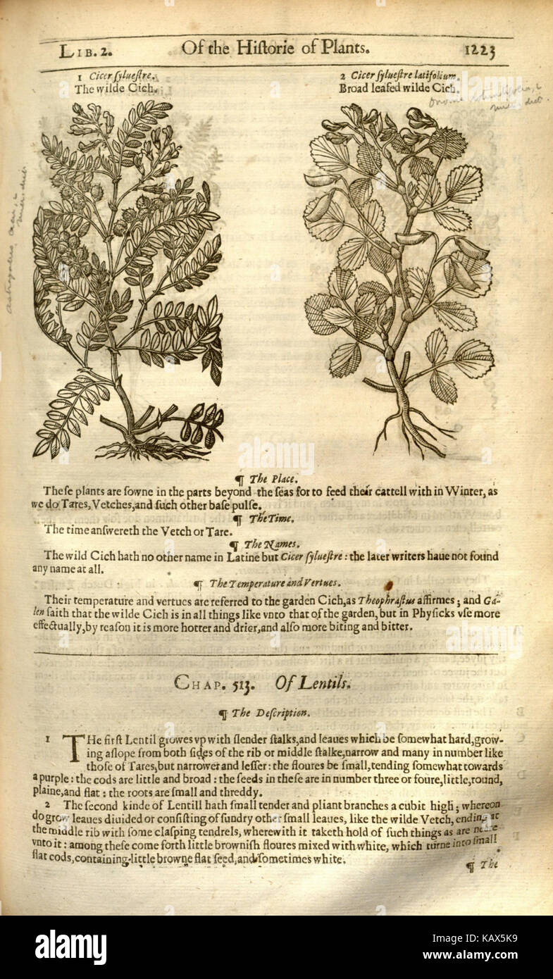 A page from 'The Herball, or, Generall Historie of Plantes,' detailing ...