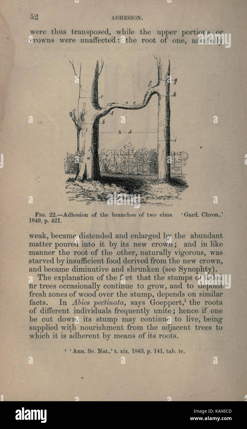 Vegetable deformity hi-res stock photography and images - Alamy