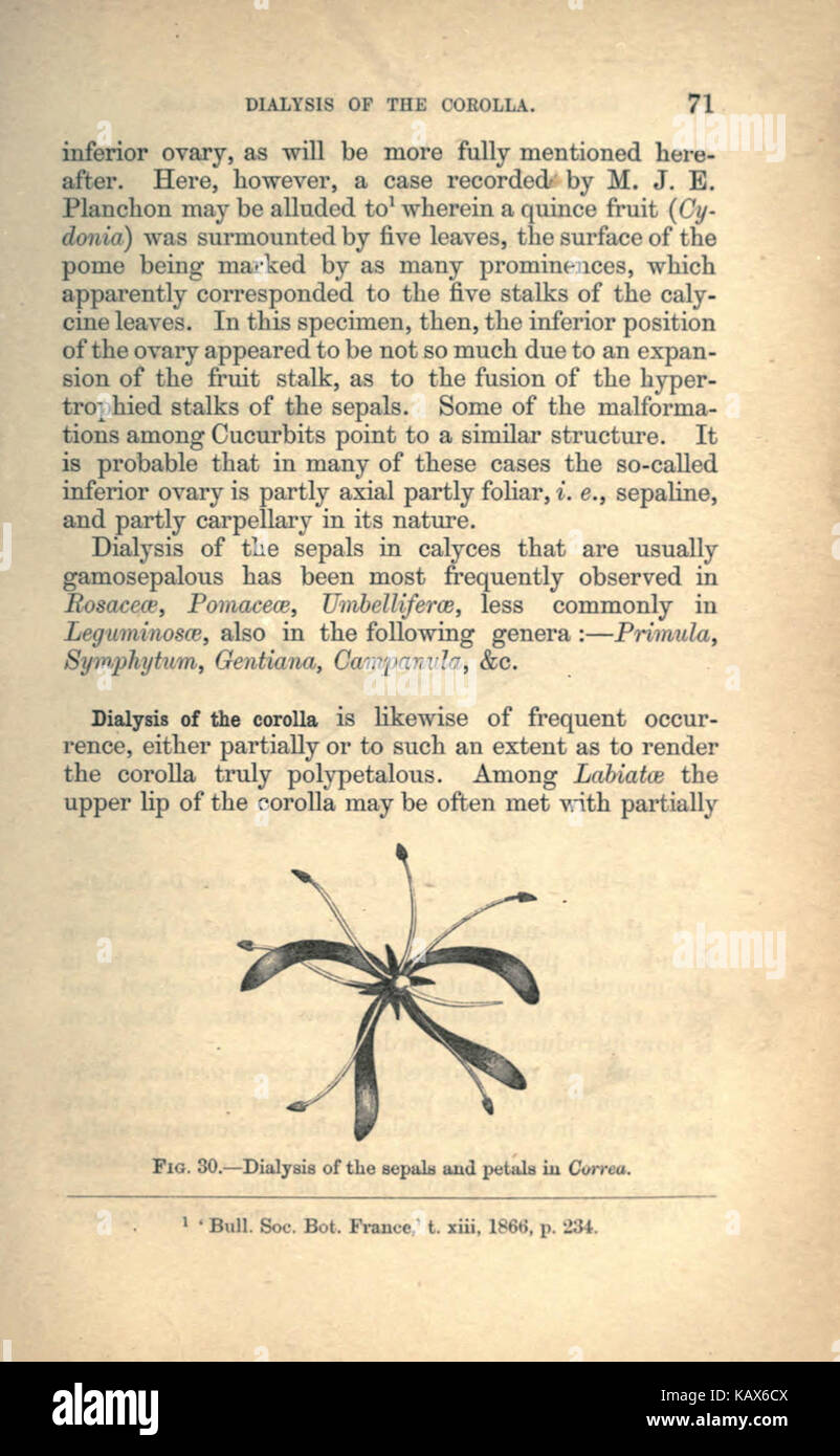 This page from 'Vegetable Teratology' showcases studies of abnormal ...