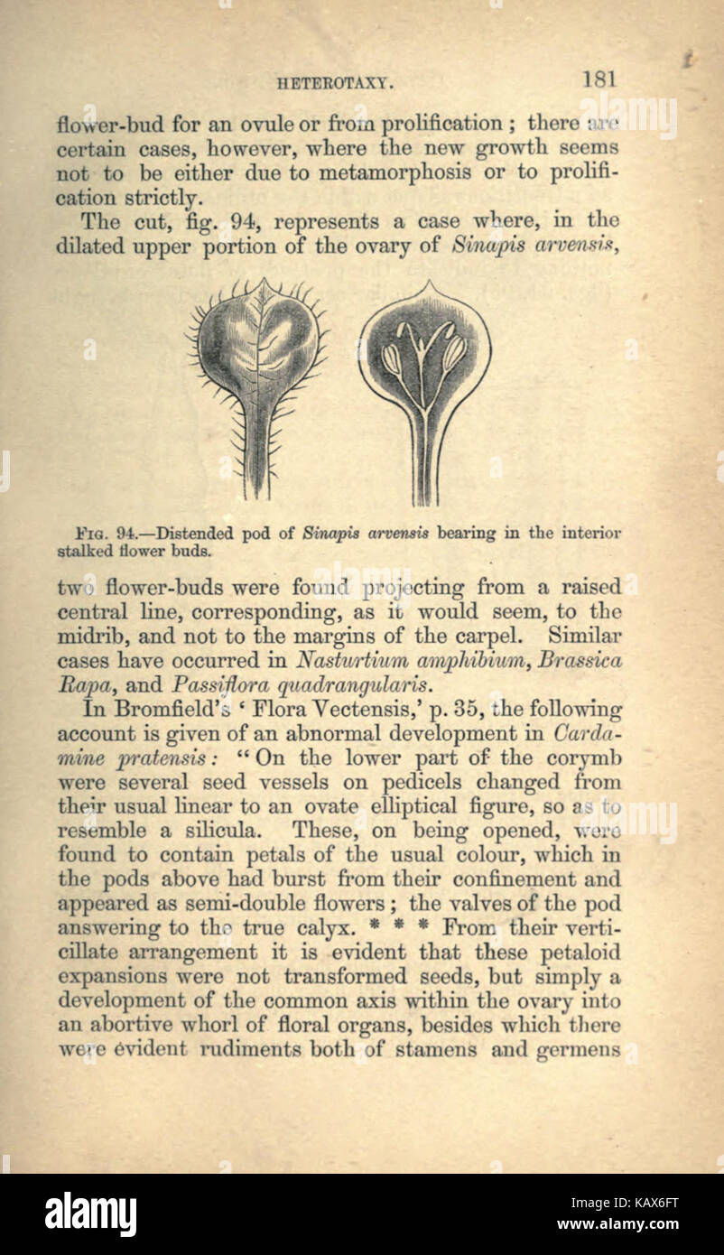 Vegetable teratology (Page 181) BHL16754493 Stock Photo - Alamy