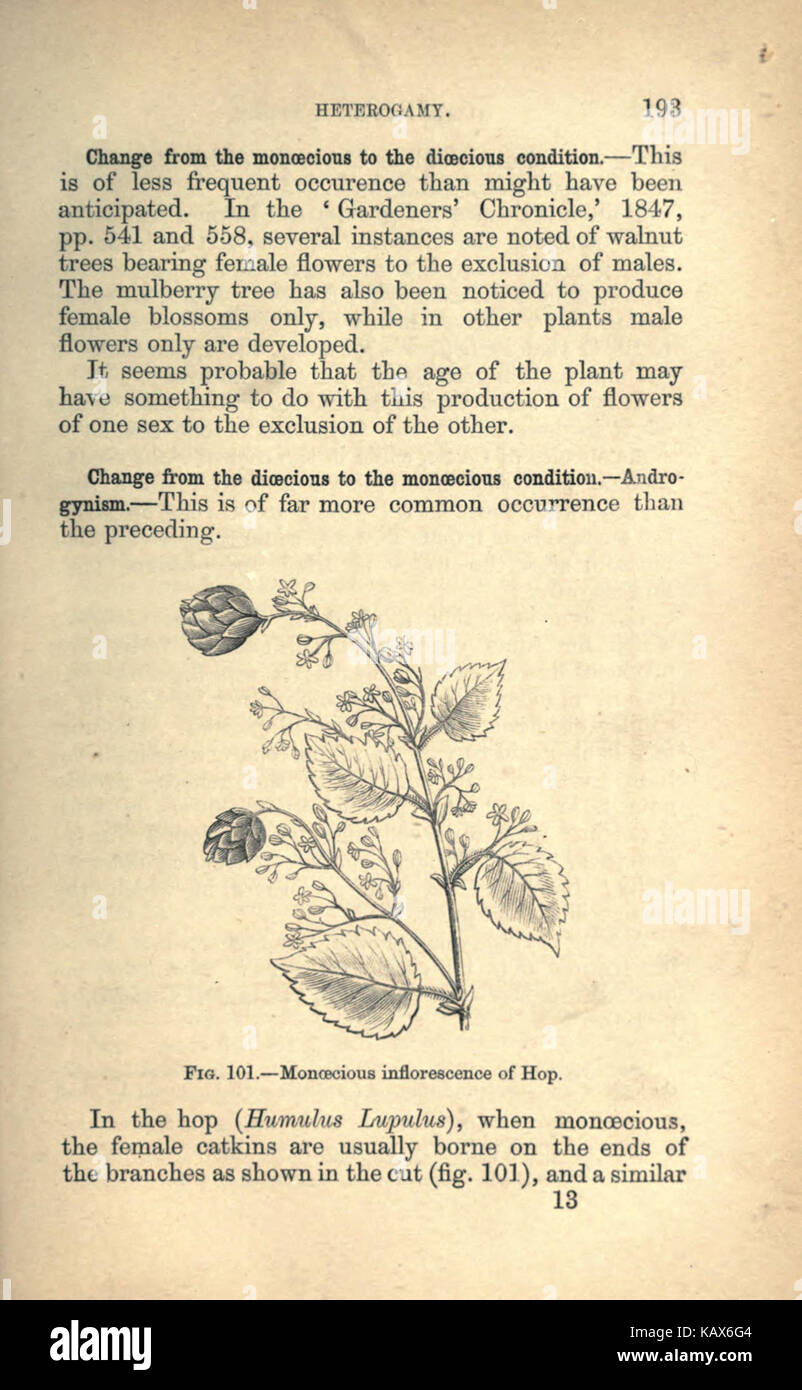 Vegetable teratology (Page 193) BHL16754505 Stock Photo - Alamy