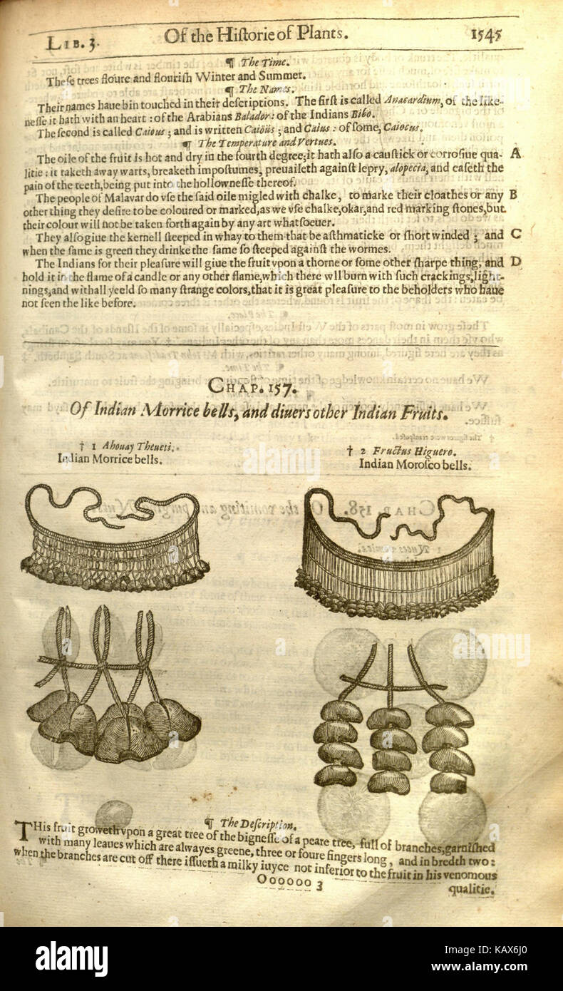 Plant illustrations history hi-res stock photography and images - Alamy