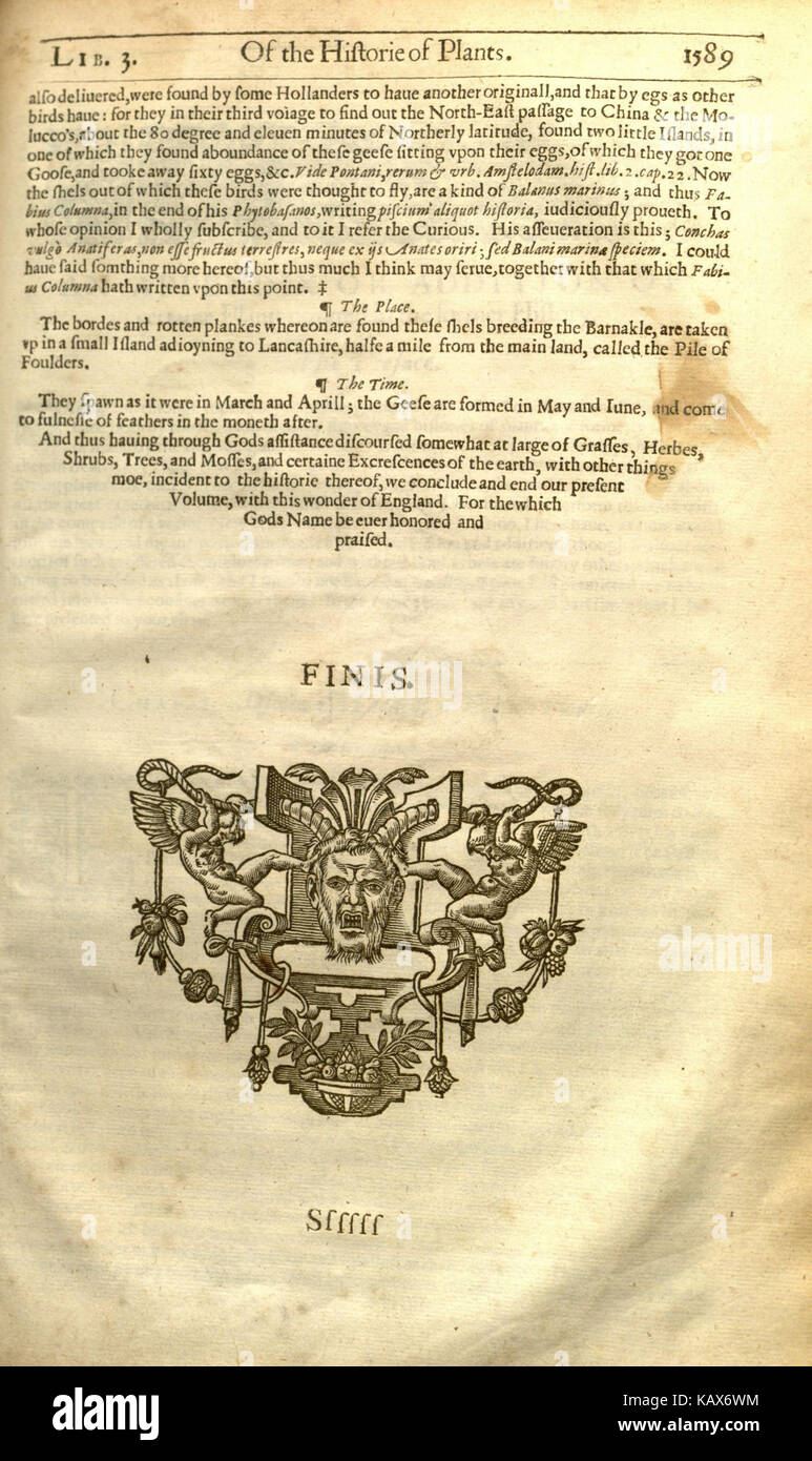 An illustration from the 1585 edition of 'The Herball, or, Generall ...