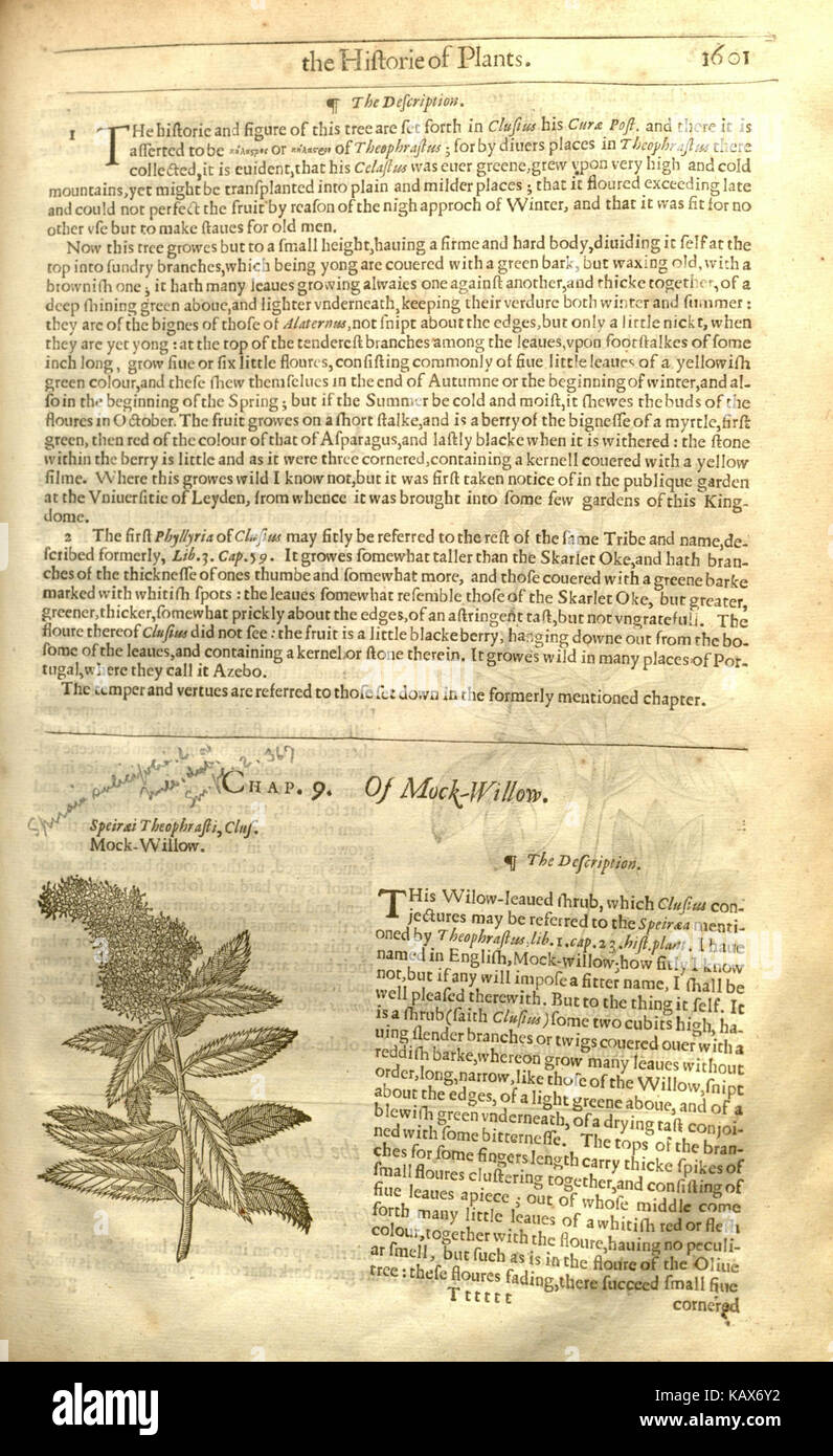 'The Herball' is a 1597 botanical text that provides detailed ...