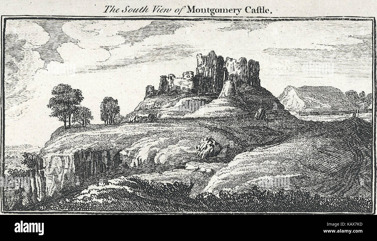 The South View of Montgomery Castle Stock Photo - Alamy