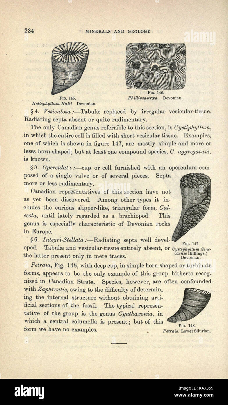 The minerals and geology of central Canada (Page 234) BHL21229469 Stock ...