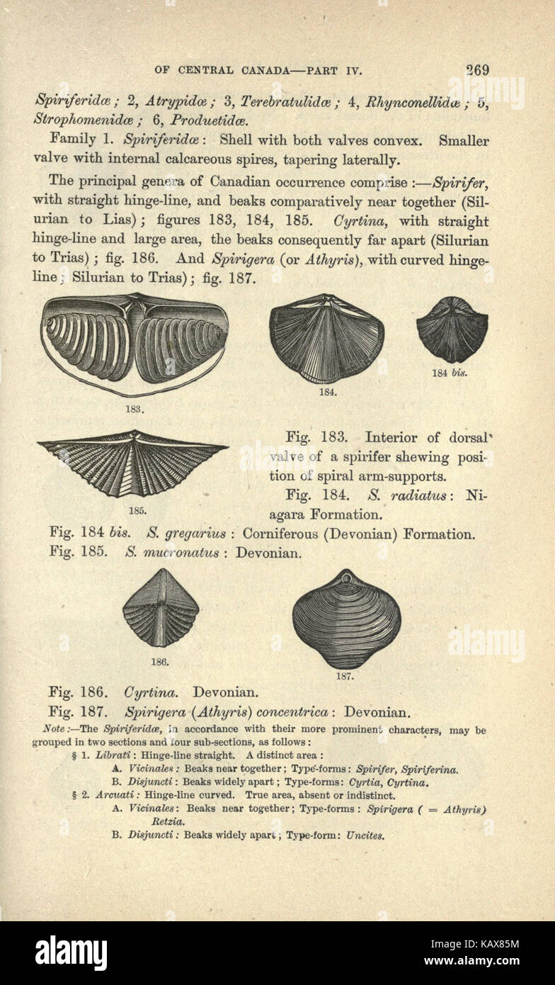 This page from 'The Minerals and Geology of Central Canada' offers ...