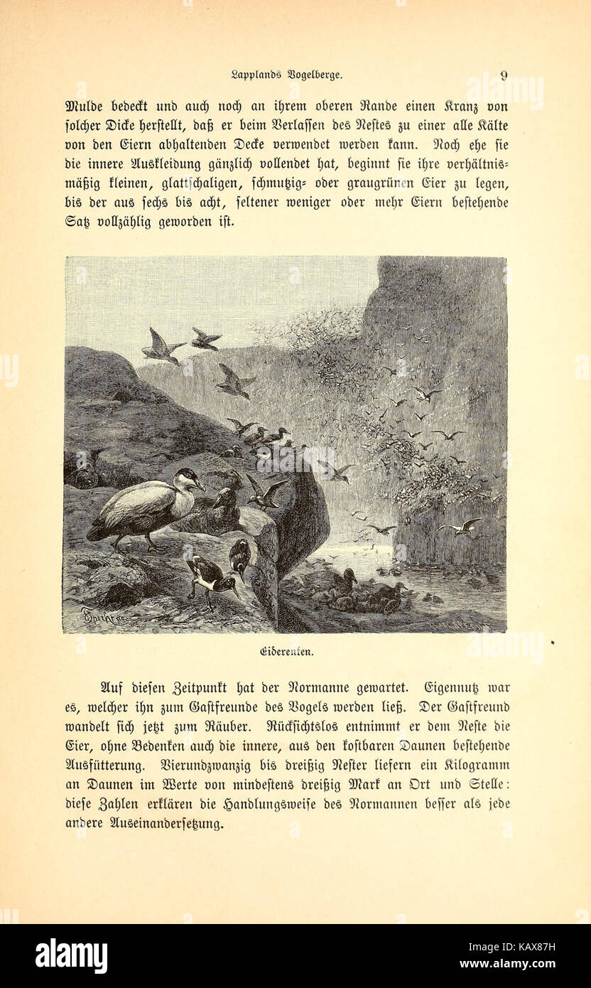Vom Nordpol zum Aequator (Page 9) BHL36881458 Stock Photo - Alamy