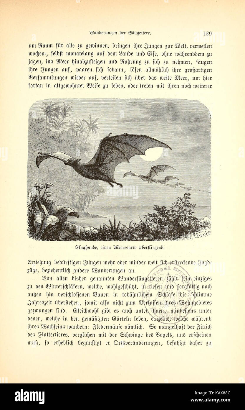 'Vom Nordpol zum Aequator' (From the North Pole to the Equator) is a ...