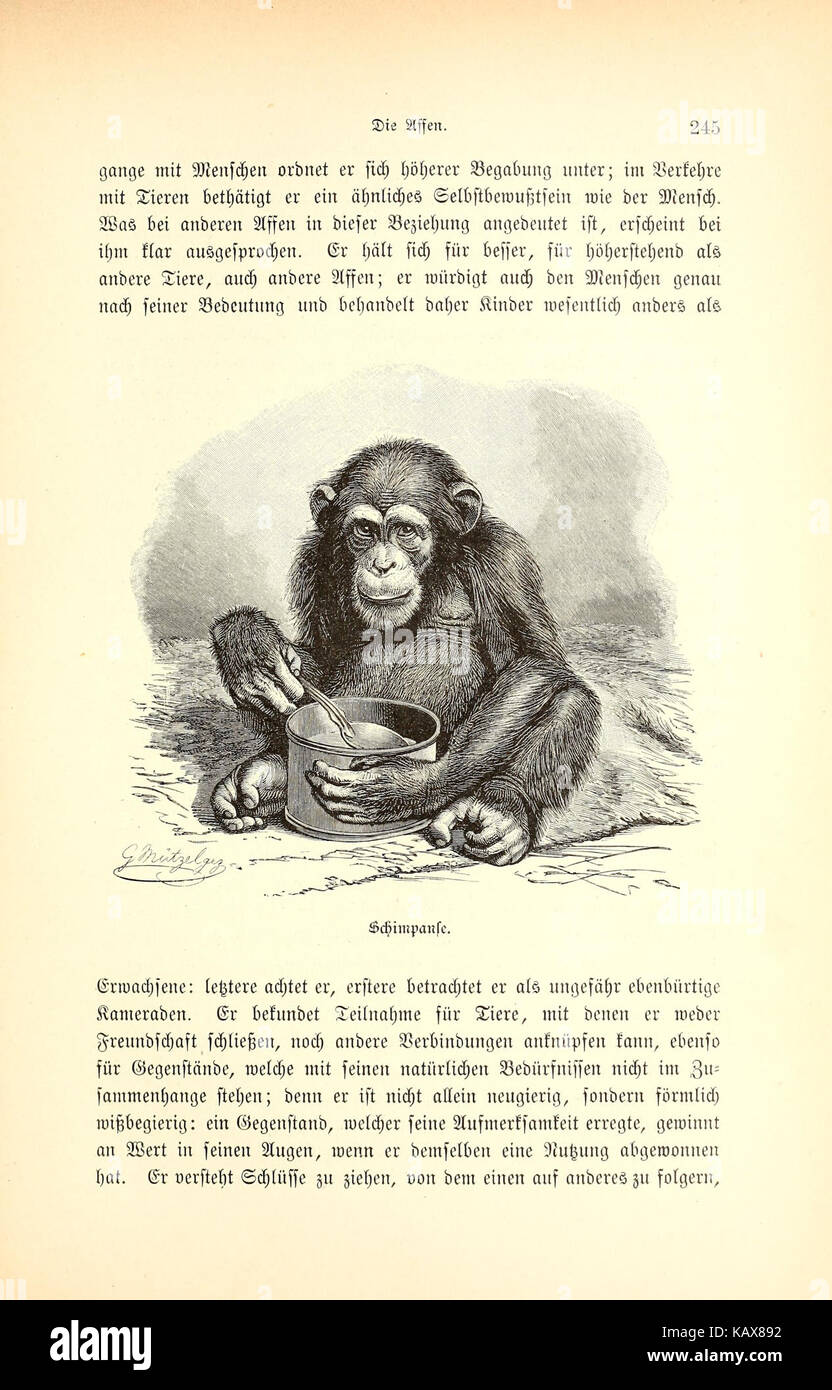 Vom Nordpol zum Aequator (Page 245) BHL36881692 Stock Photo - Alamy