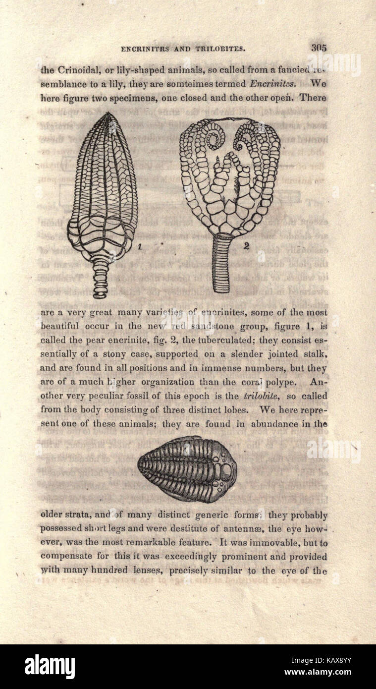 This page from 'The World or, First Lessons in Astronomy and Geology ...