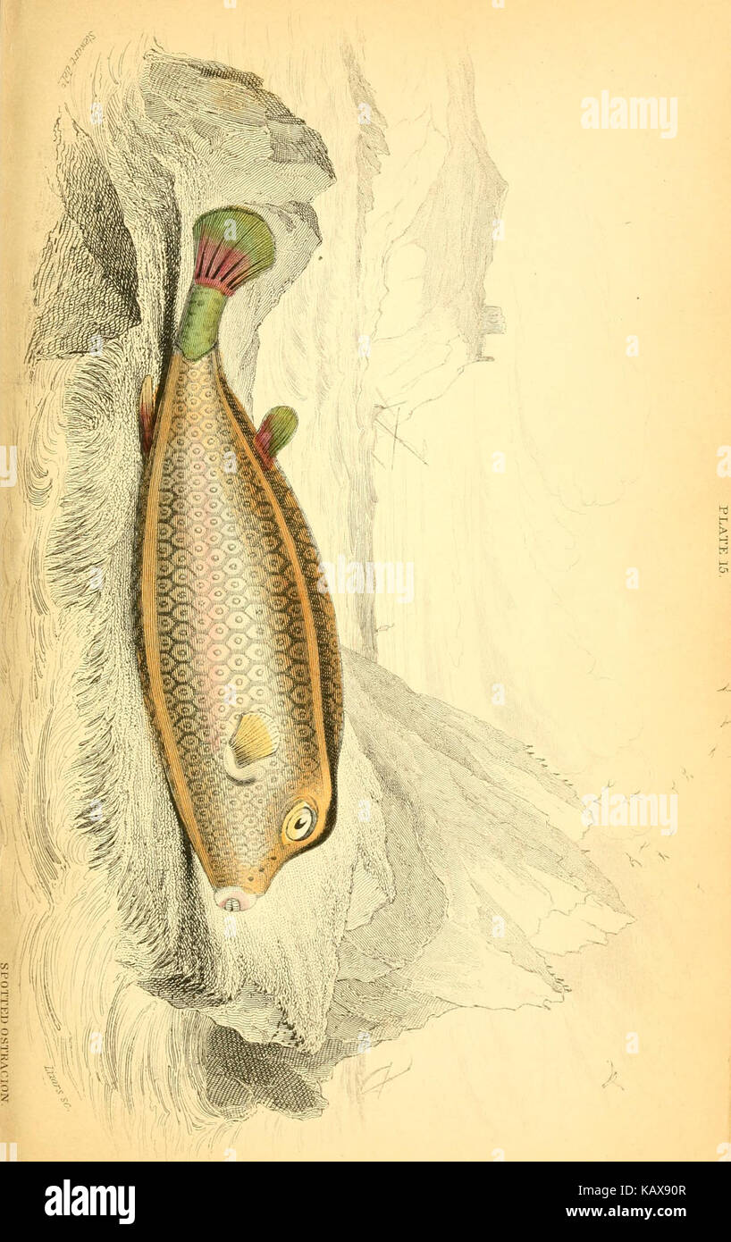 The natural history of fishes, particularly their structure and ...