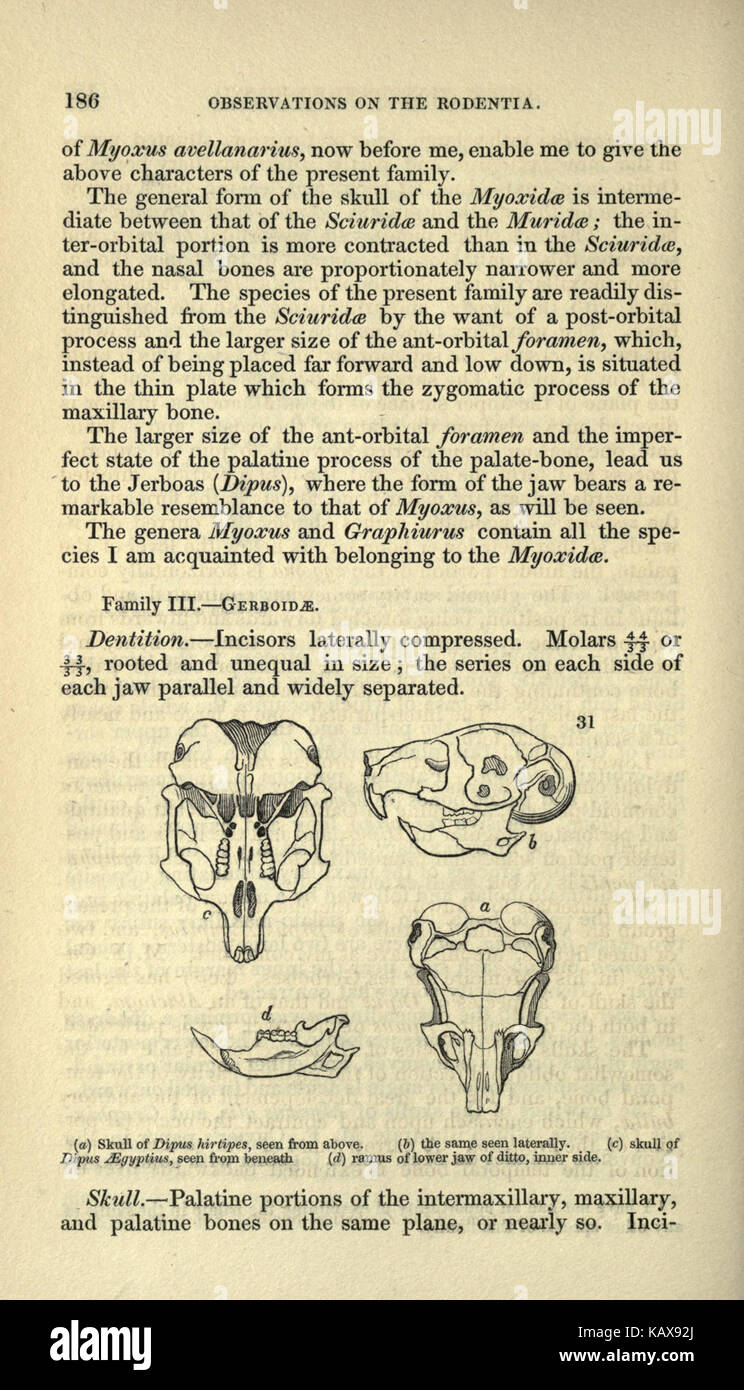 This page from 'The Magazine of Natural History' highlights various ...