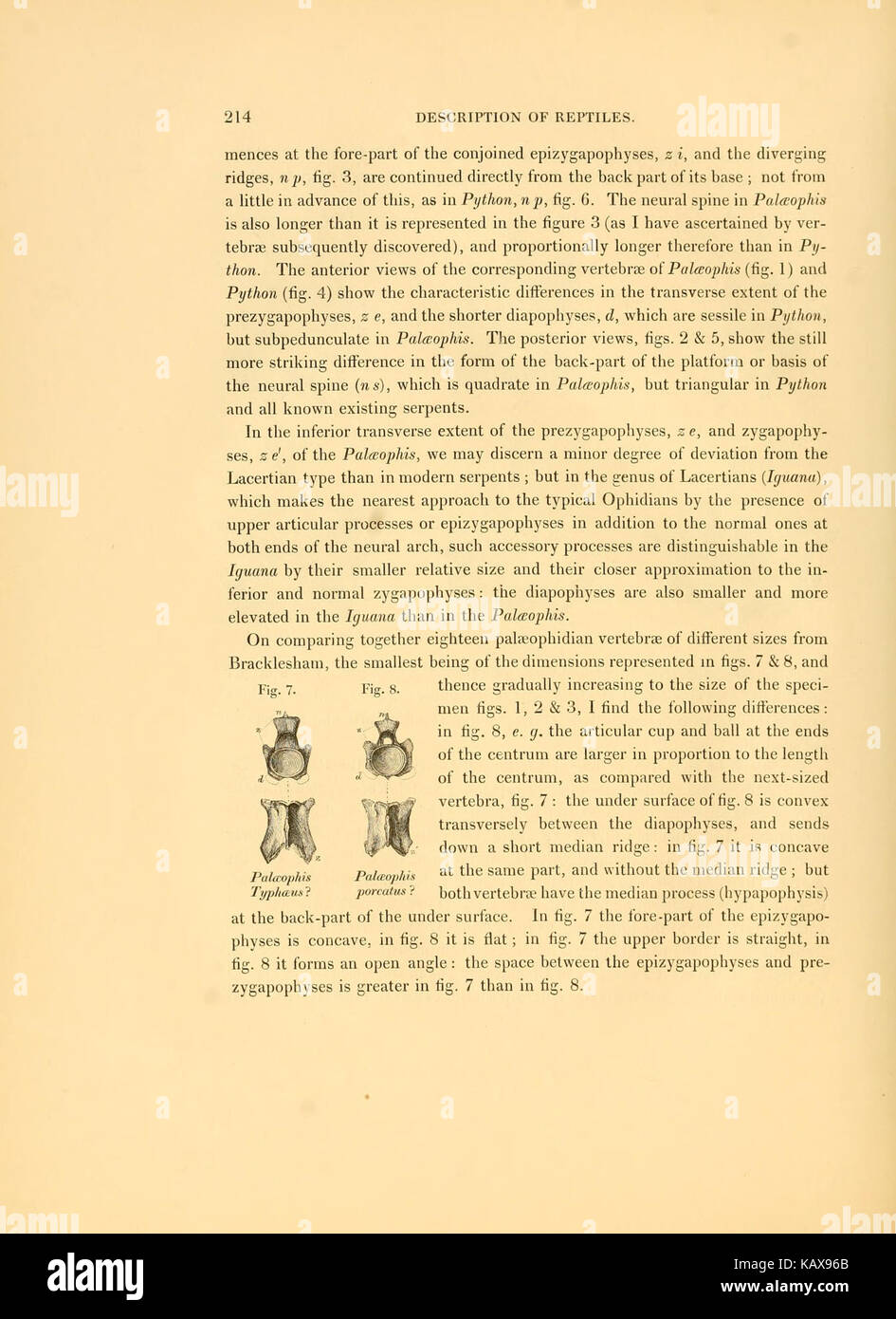 The geology and fossils of the Tertiary and Cretaceous formations of ...
