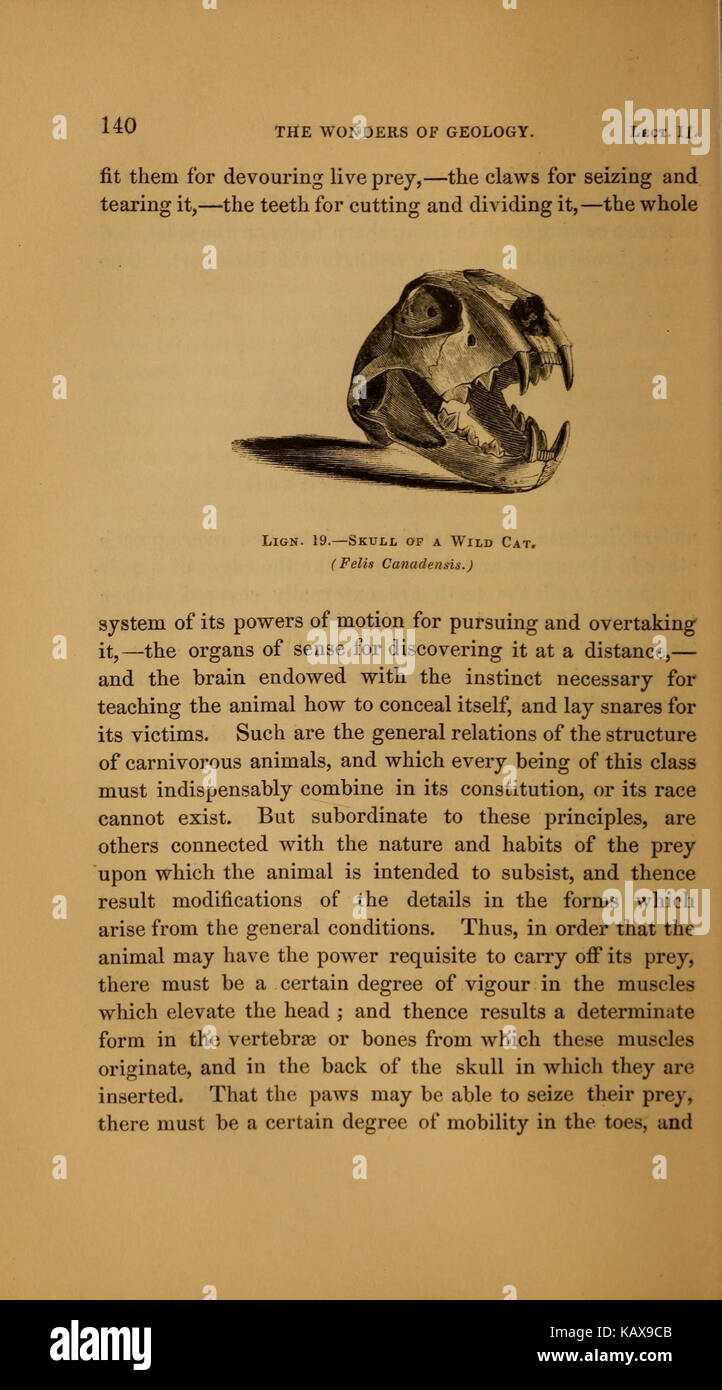 The wonders of geology; or A familiar exposition of geological ...